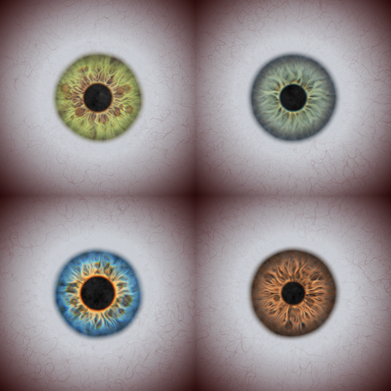 Substance Share « The Free Exchange Platform » | HumanEye